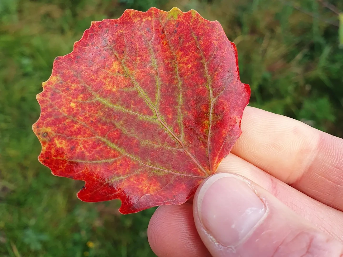 Aktuellt – Terkos Hälsa AB